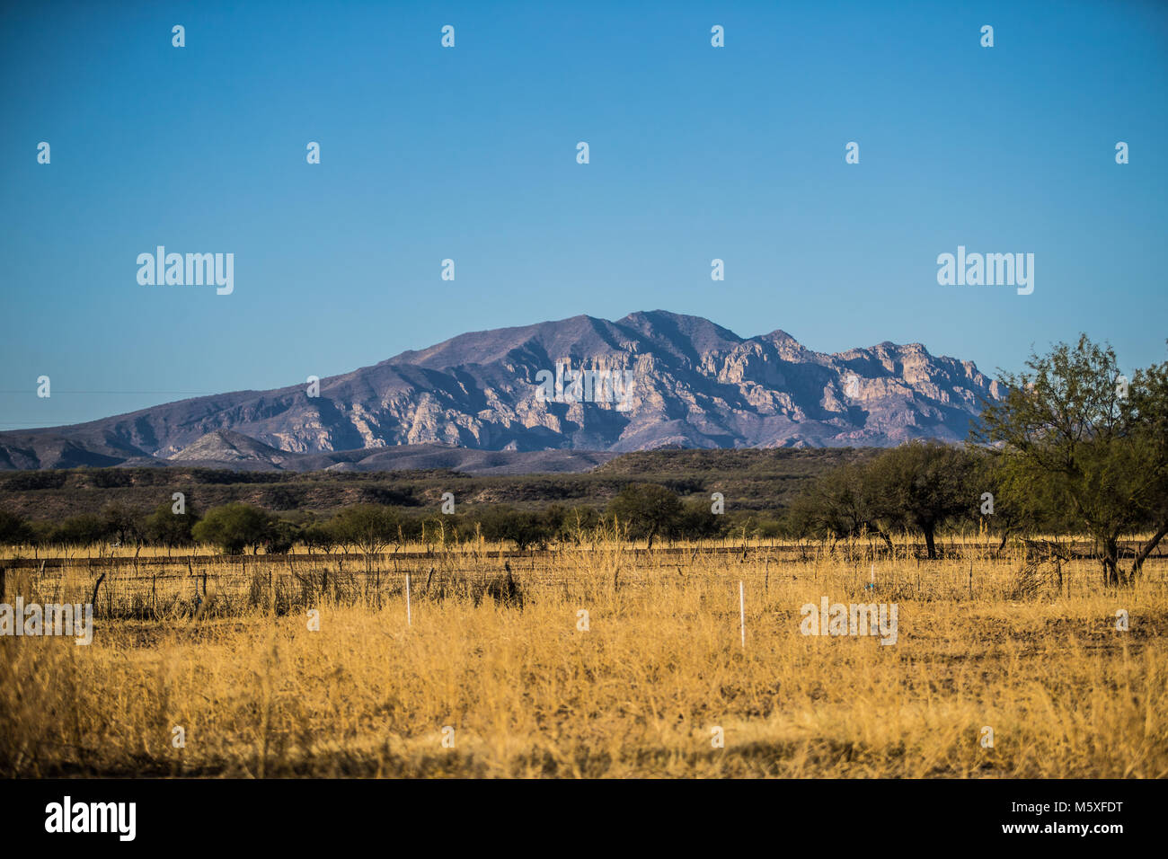 Cumpas sonora hi-res stock photography and images - Alamy