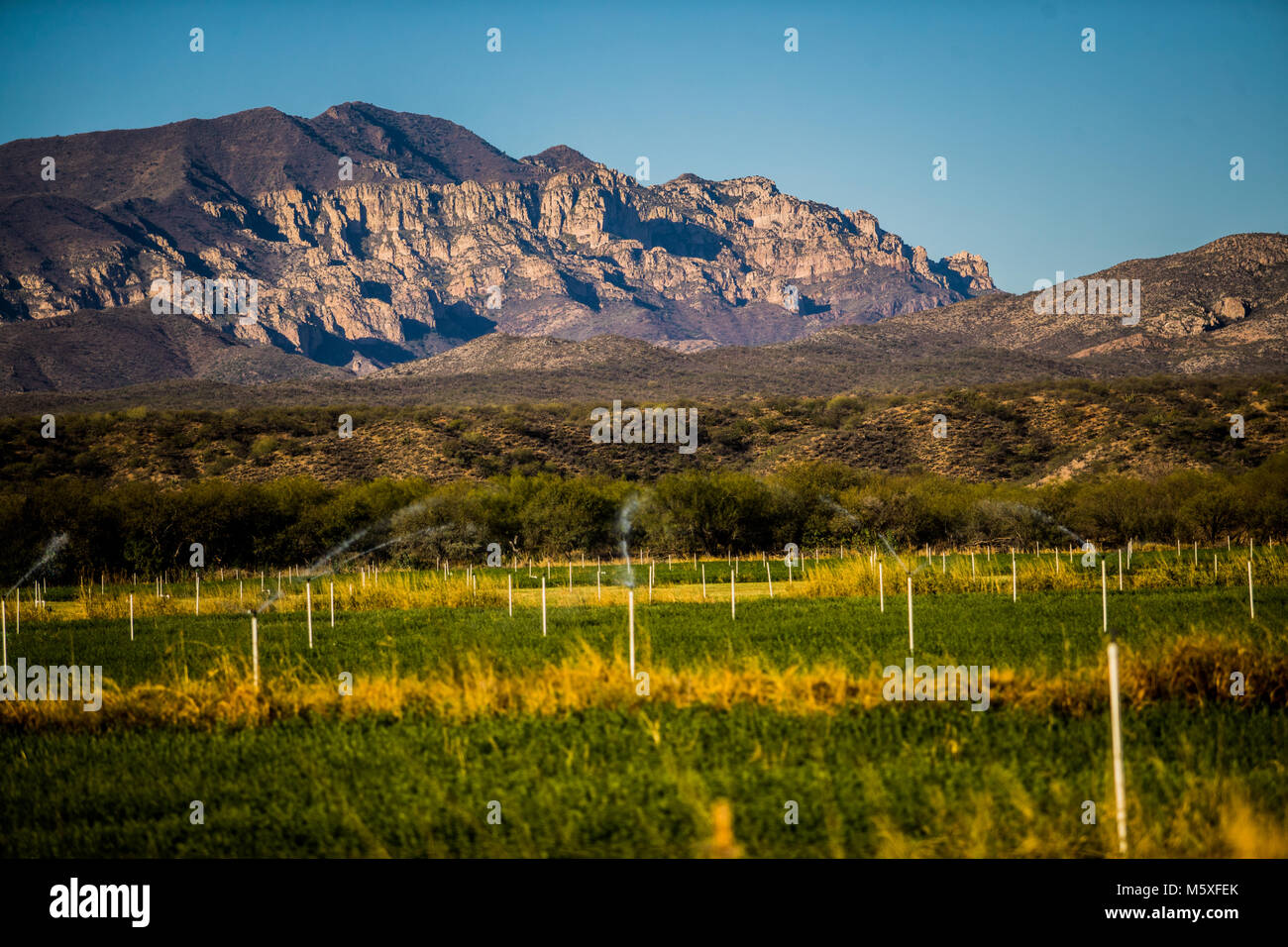 Cumpas mexico hi-res stock photography and images - Alamy