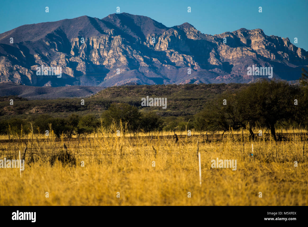 Cumpas mexico hi-res stock photography and images - Alamy