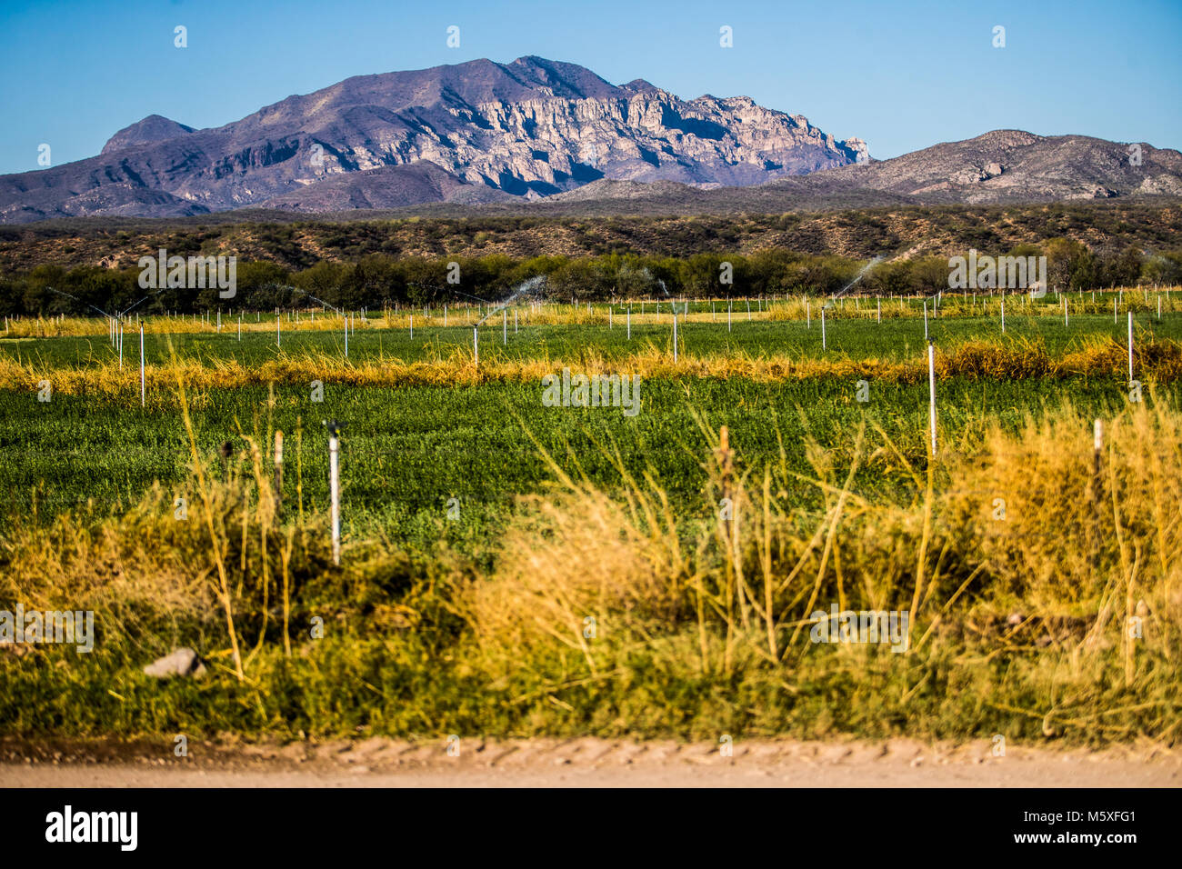 Mountain or white hill in La Labor town in the municipality of Cumpas ...