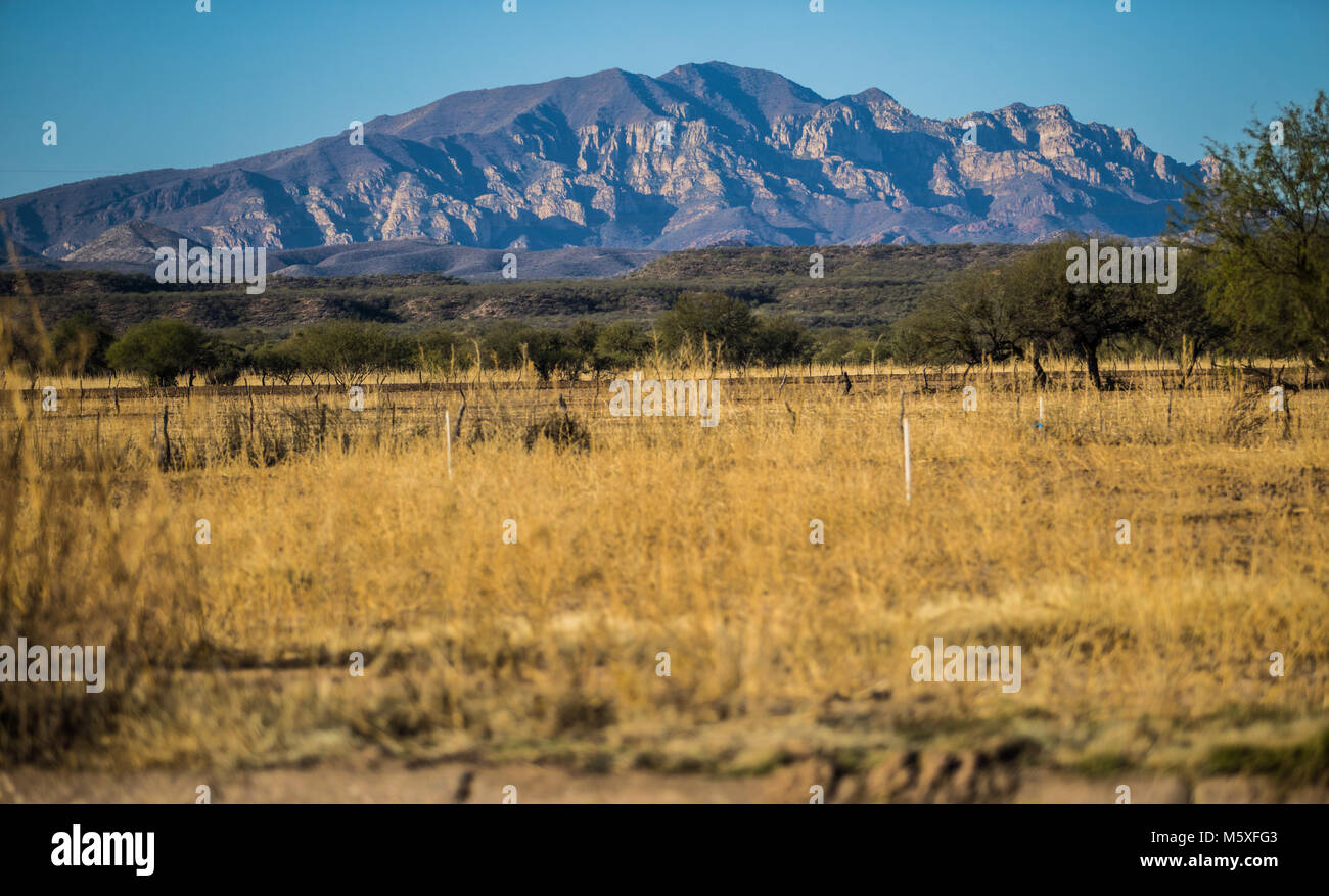 Mountain or white hill in La Labor town in the municipality of Cumpas ...