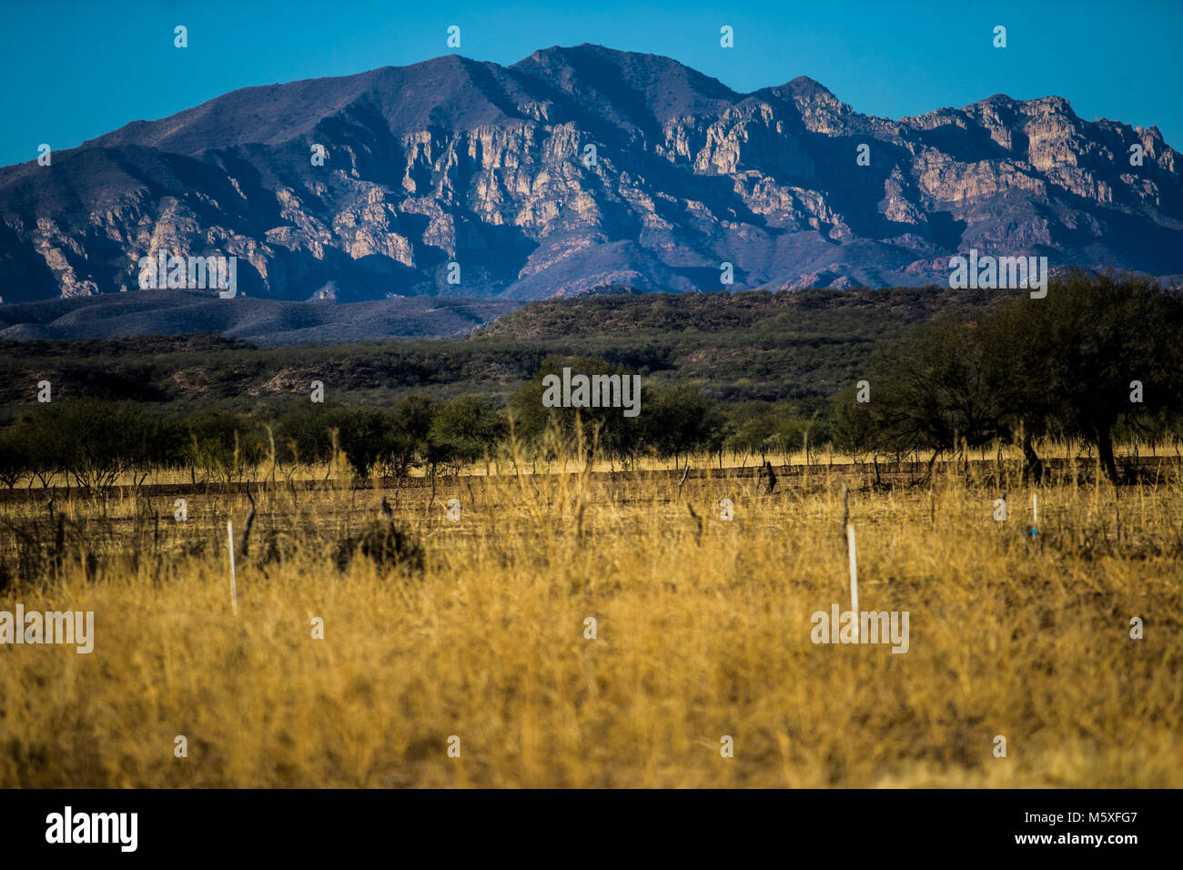 Cumpas mexico hi-res stock photography and images - Alamy