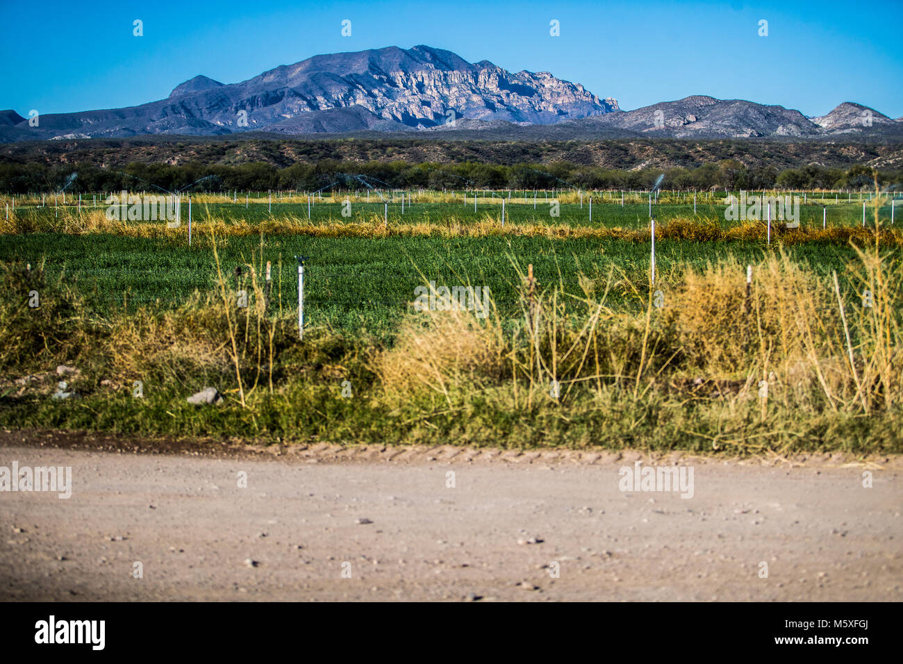 Cumpas mexico hi-res stock photography and images - Alamy