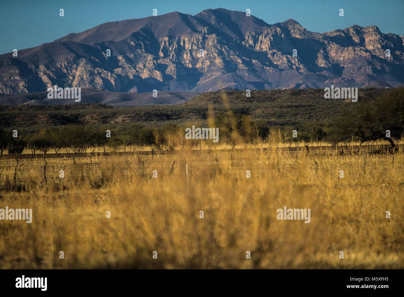 Mountain or white hill in La Labor town in the municipality of Cumpas ...