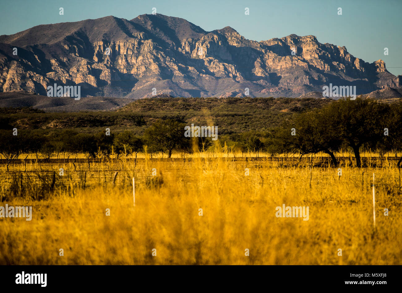 Mountain or white hill in La Labor town in the municipality of Cumpas ...