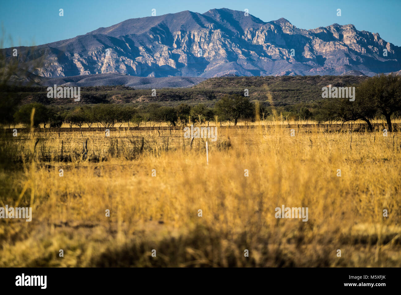Cumpas sonora hi-res stock photography and images - Alamy
