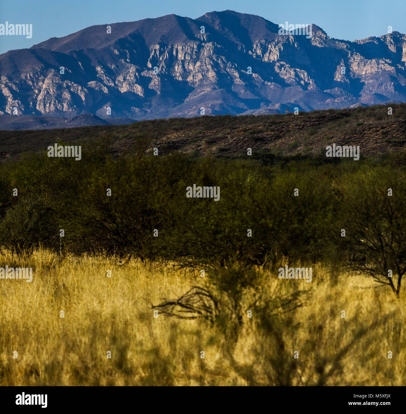 Mountain or white hill in La Labor town in the municipality of Cumpas ...
