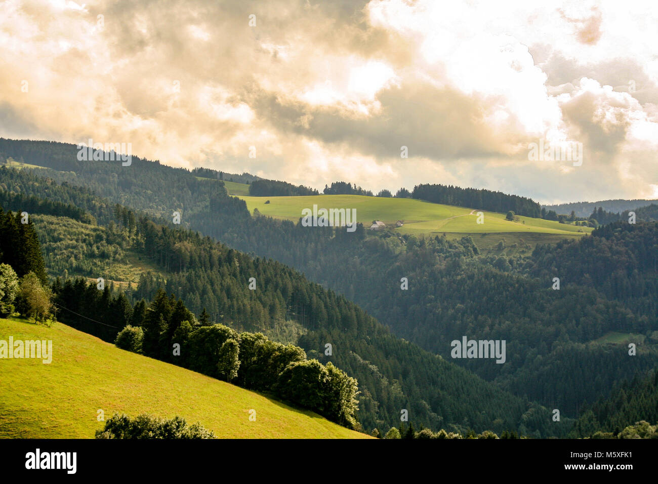 Landscape of Black Forest, Schwarzwald, Germany Stock Photo - Alamy