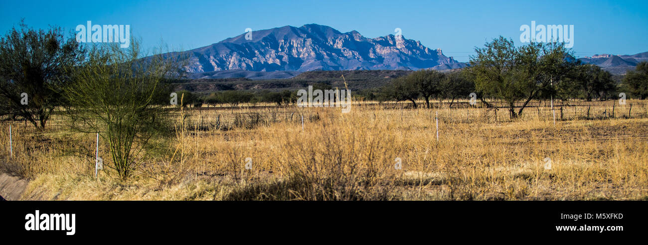 Mountain or white hill in La Labor town in the municipality of Cumpas ...