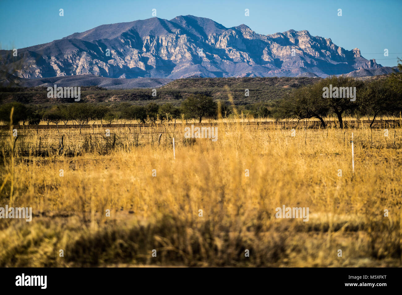 Mountain or white hill in La Labor town in the municipality of Cumpas ...