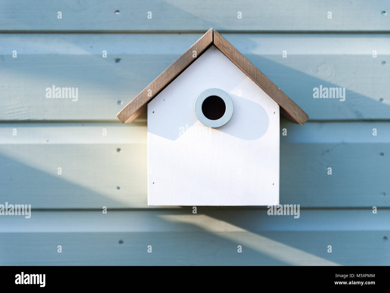 Bird-box affixed to a garden shed Stock Photo - Alamy