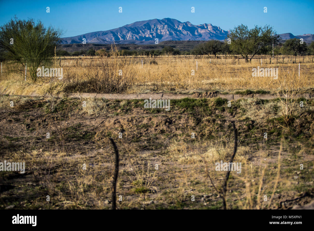 Mountain or white hill in La Labor town in the municipality of Cumpas ...