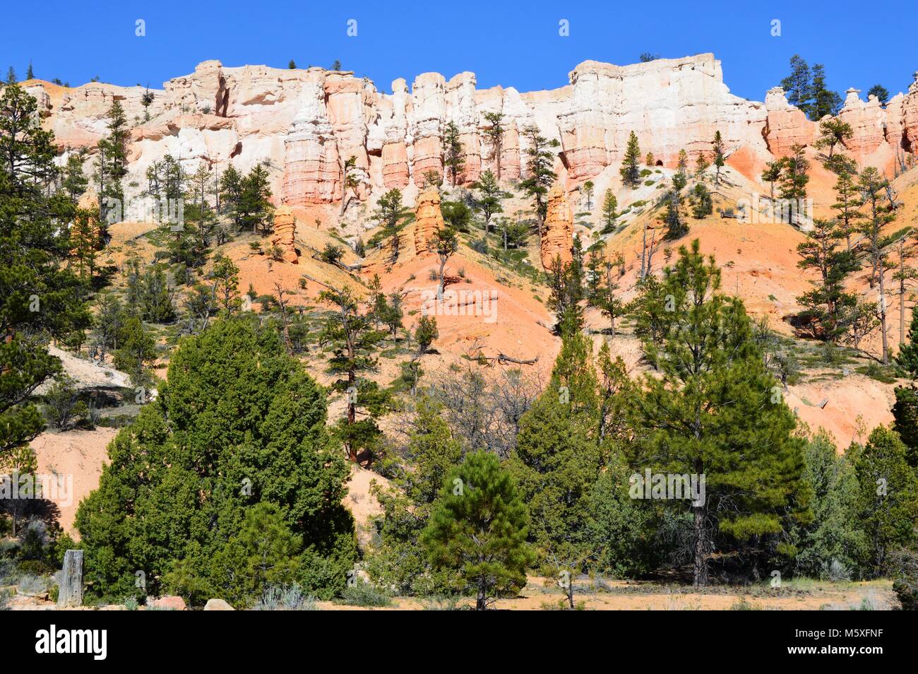 Red Sandstone formations, Utah Stock Photo - Alamy