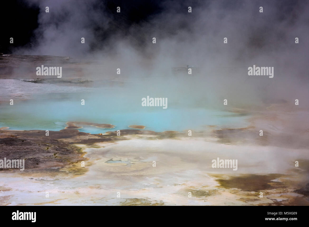 Main Terrace, Mammoth Hot Springs, Yellowstone National Park, USA Stock ...