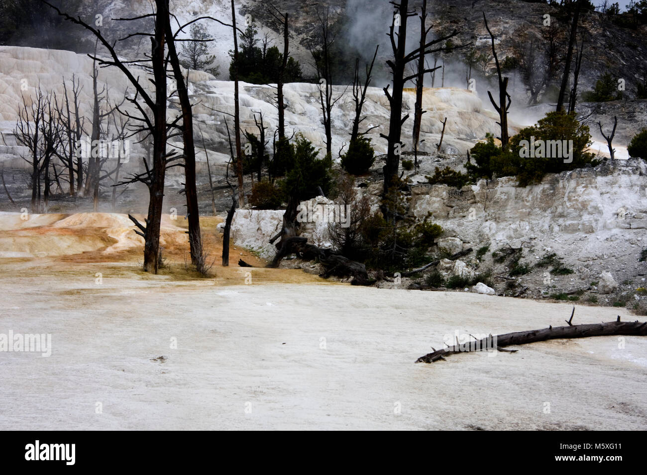Yellowstone hot springs terrace hi-res stock photography and images - Alamy