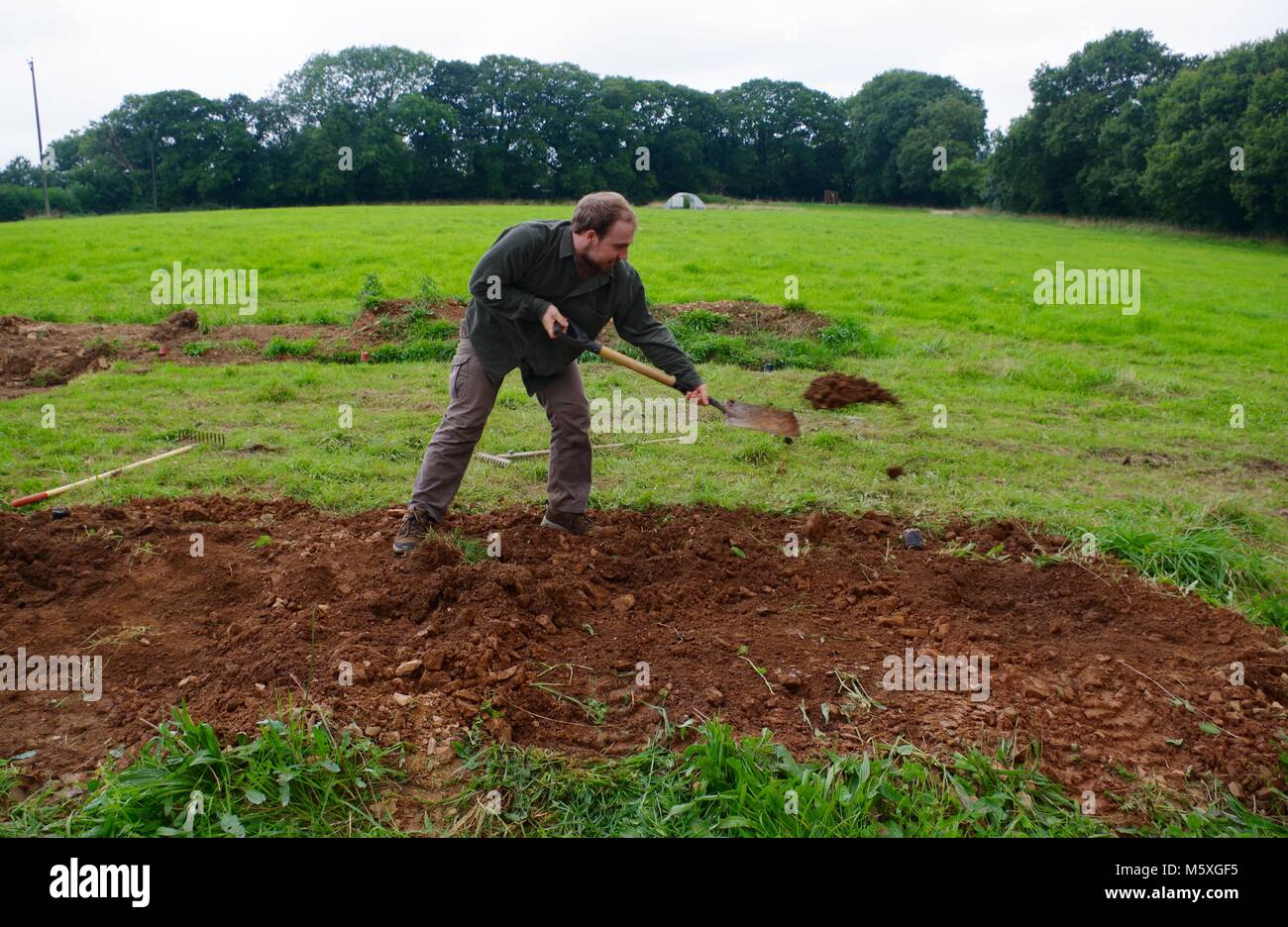 Young Handsome Man Manually Digging a Grassy Field in Mid Devon to ...