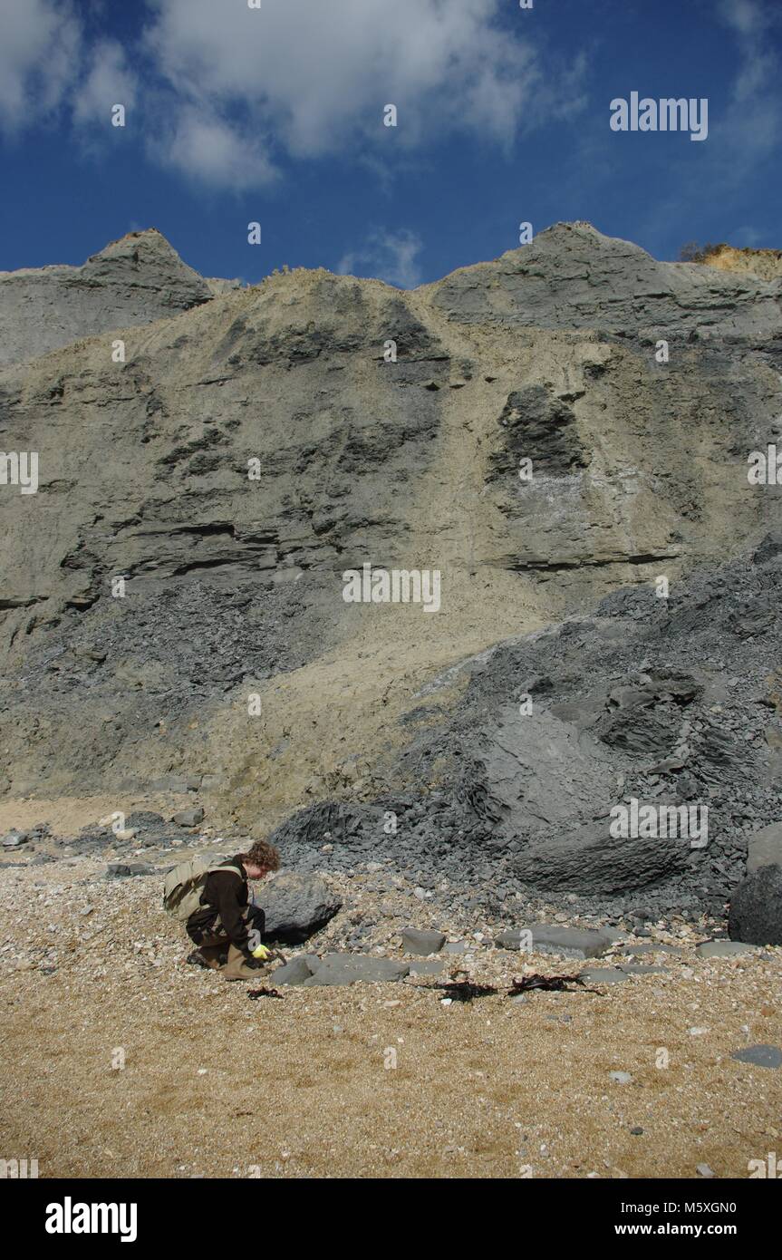 Young Handsome British Geologist, Fossil Hunting on Charmouth Beach ...