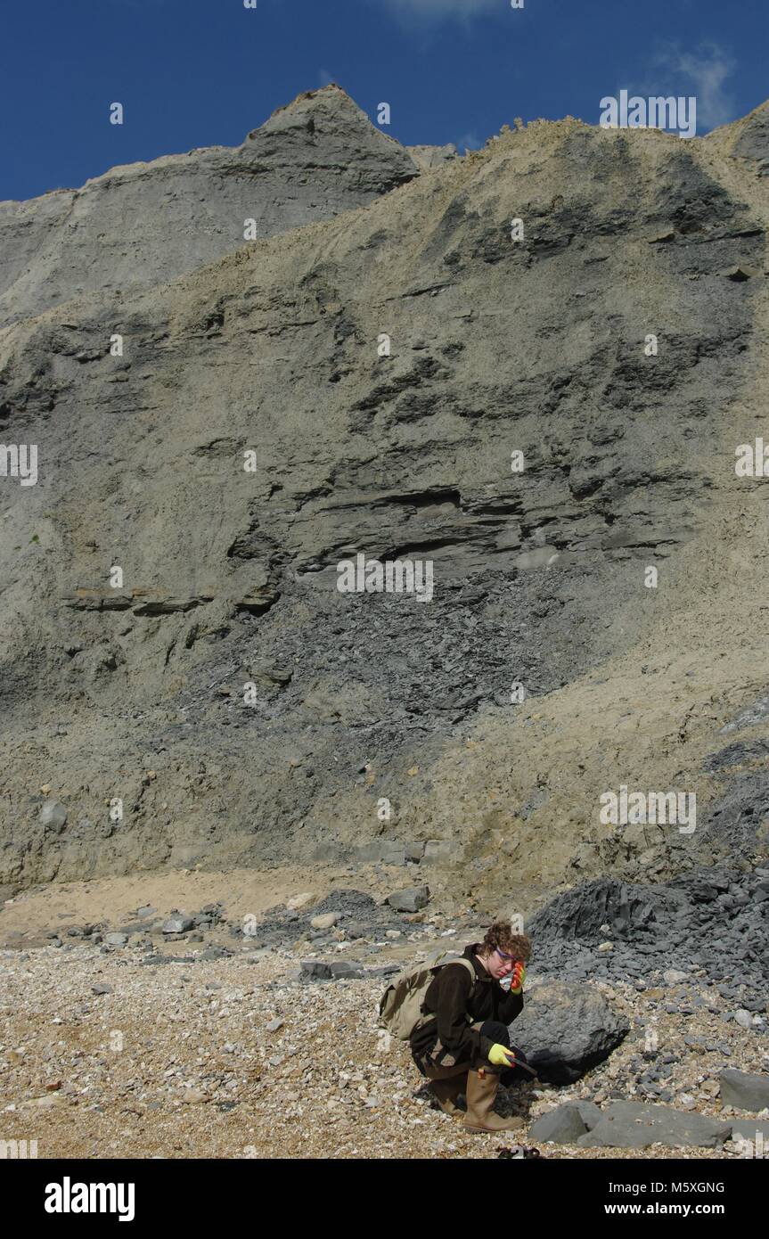 Young Handsome British Geologist, Fossil Hunting on Charmouth Beach ...