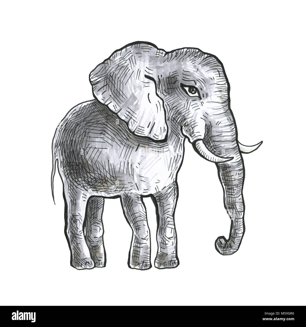 Powerful black white elephant Cut Out Stock Images & Pictures - Alamy
