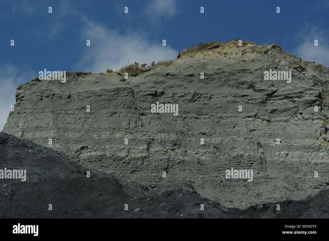 Soft Grey Fossil Rich Mudstone Cliffs Along Charmouth Beach, West ...