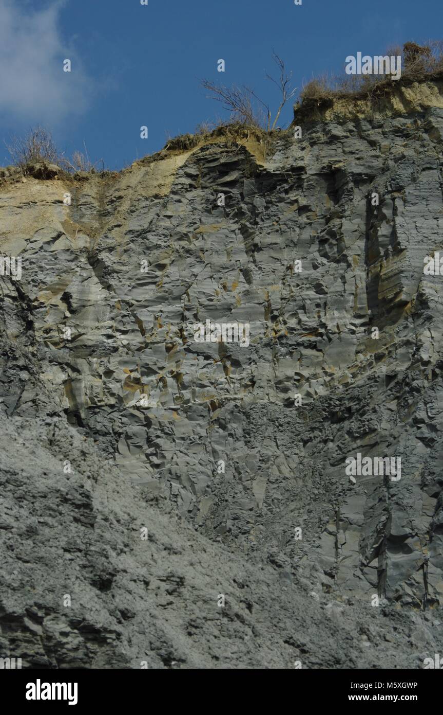 Soft Grey Fossil Rich Mudstone Cliffs Along Charmouth Beach, West ...