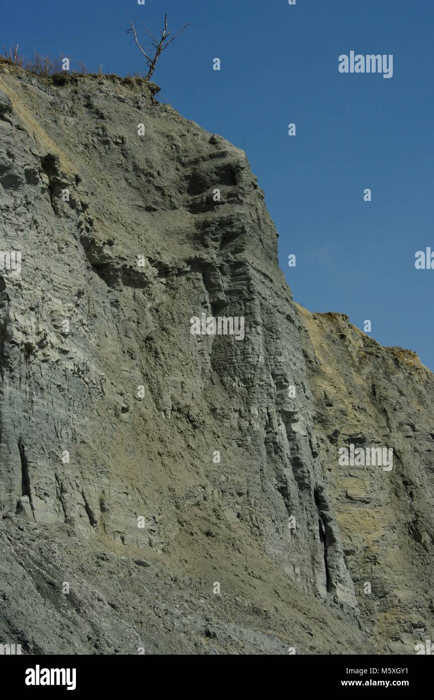 Soft Grey Fossil Rich Mudstone Cliffs Along Charmouth Beach, West ...