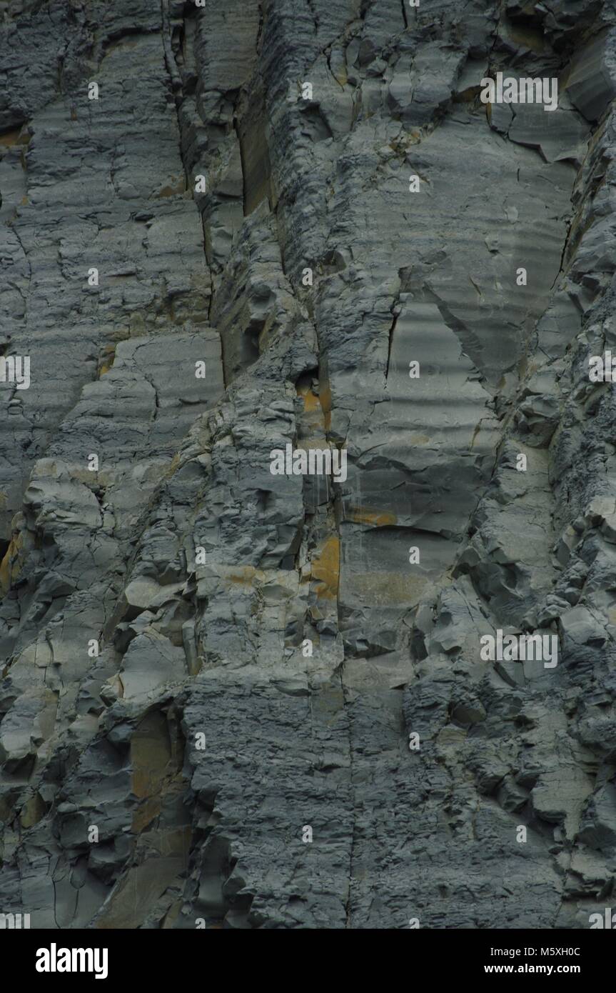 Soft Grey Fossil Rich Mudstone Cliffs Along Charmouth Beach, West ...