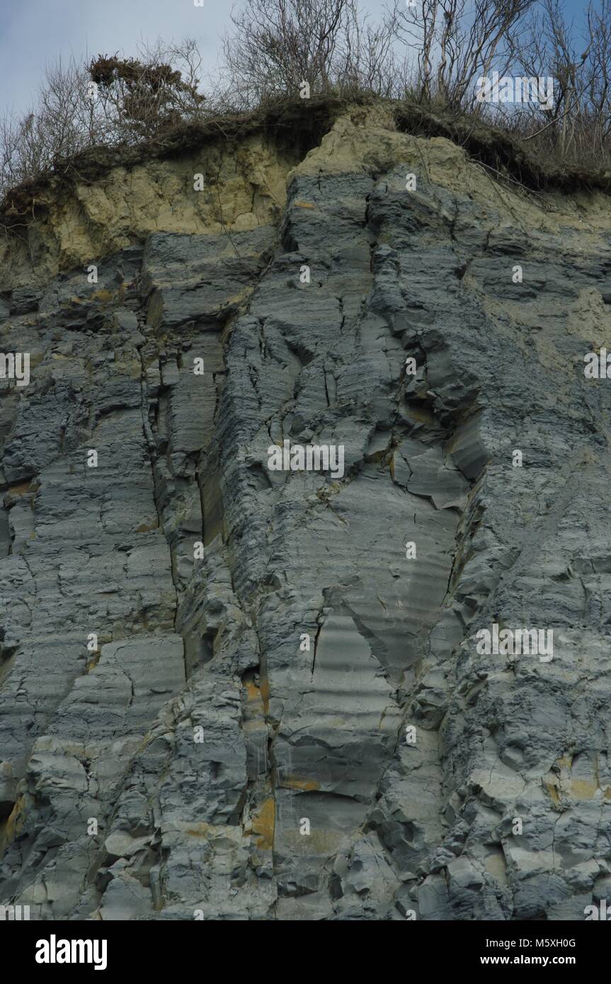 Soft Grey Fossil Rich Mudstone Cliffs Along Charmouth Beach, West ...
