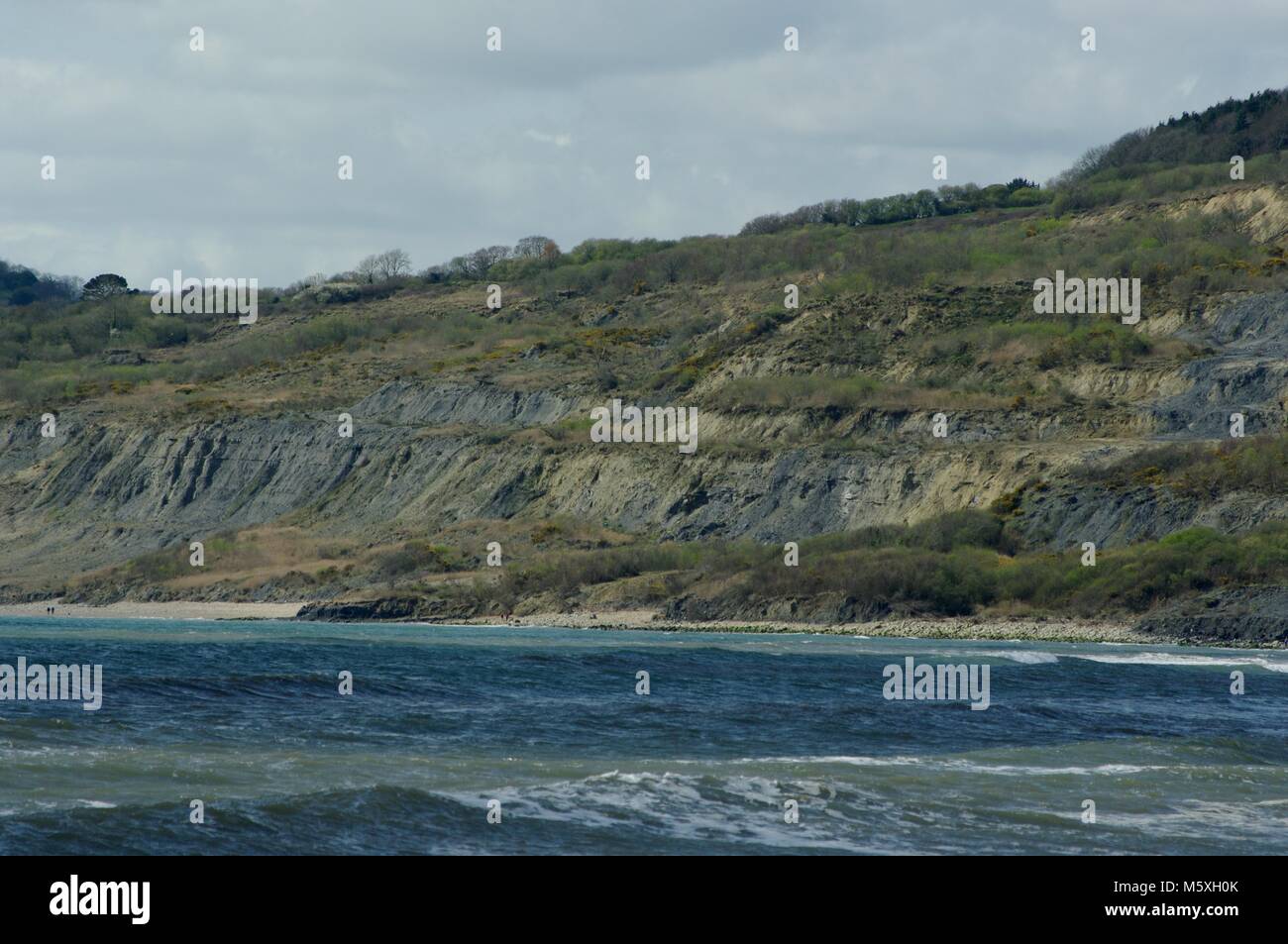 Soft Grey Fossil Rich Mudstone Cliffs Along Charmouth Beach, West ...