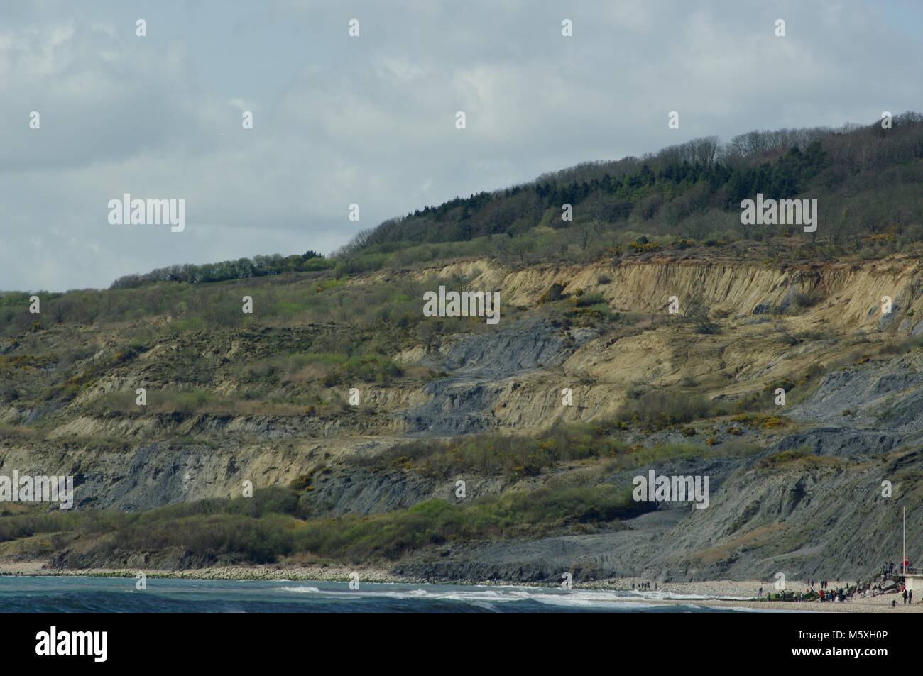 Soft Grey Fossil Rich Mudstone Cliffs Along Charmouth Beach, West ...