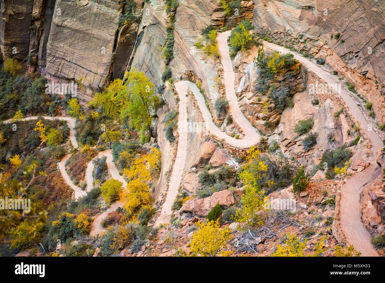 Wiggles hi-res stock photography and images - Alamy