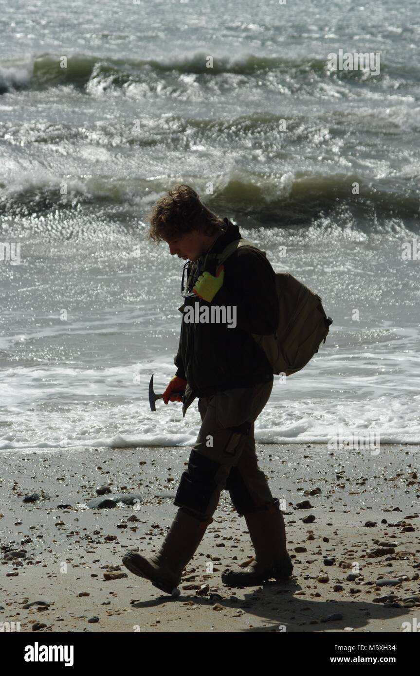Young Handsome British Geologist, Fossil Hunting on Charmouth Beach ...