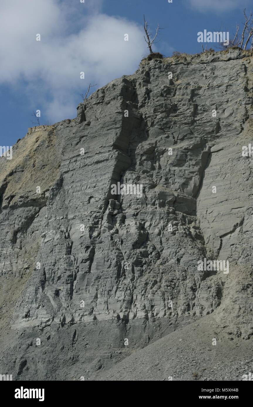 Soft Grey Fossil Rich Mudstone Cliffs Along Charmouth Beach, West ...