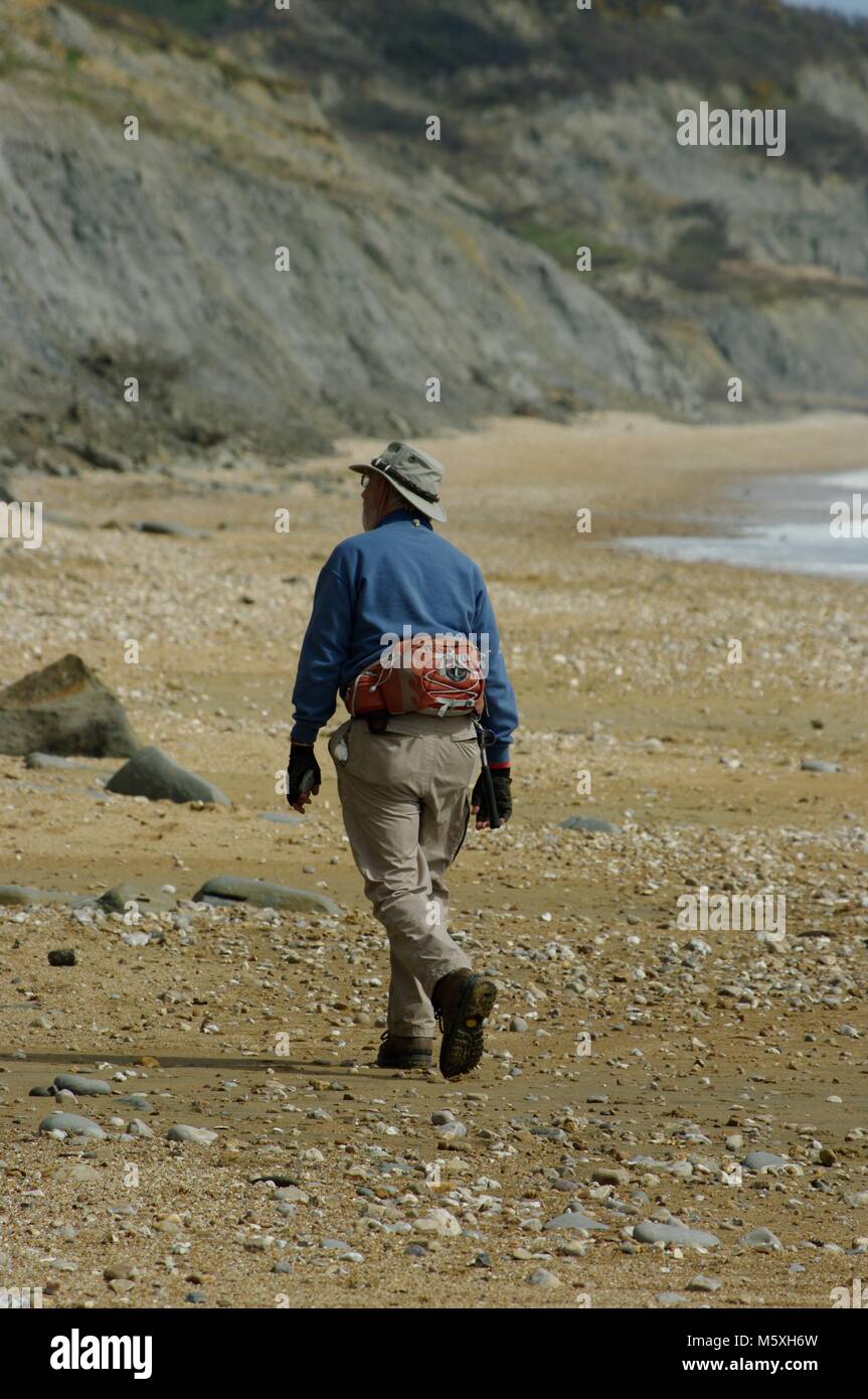 Fossil hunter paleontologist hi-res stock photography and images - Alamy