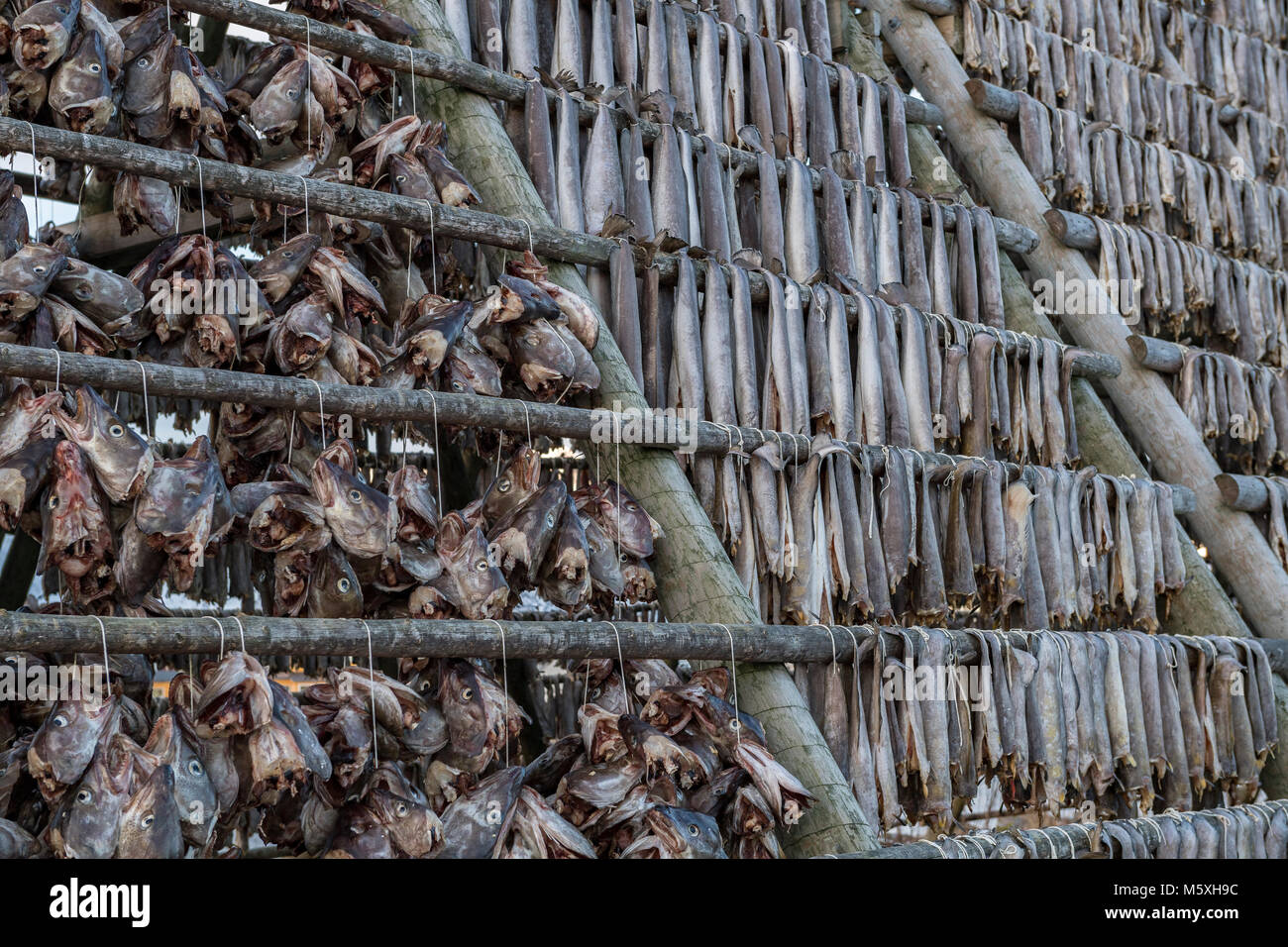 Fish dry rack hi-res stock photography and images - Alamy
