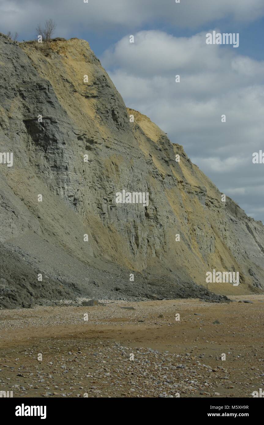 Soft Grey Fossil Rich Mudstone Cliffs Along Charmouth Beach, West ...