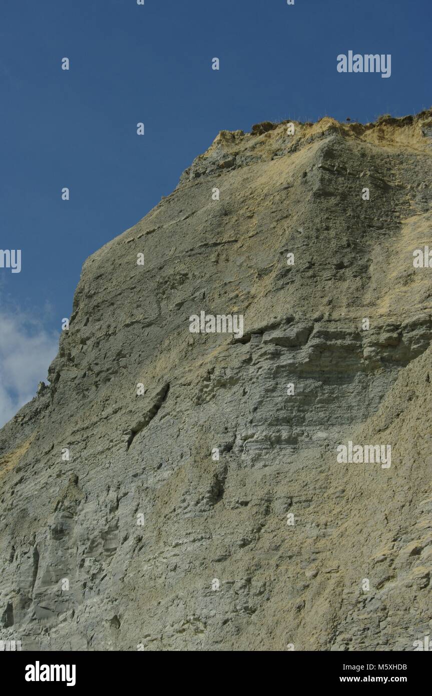 Soft Grey Fossil Rich Mudstone Cliffs Along Charmouth Beach, West ...