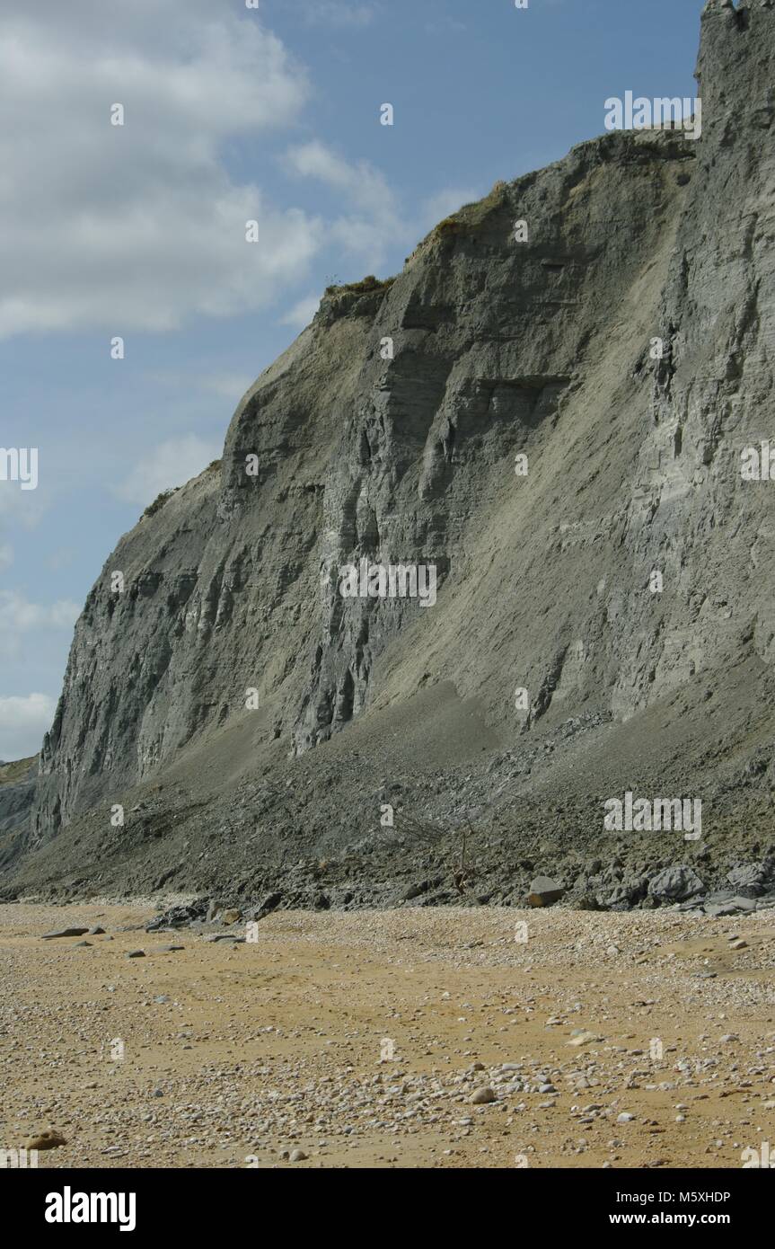 Soft Grey Fossil Rich Mudstone Cliffs Along Charmouth Beach, West ...