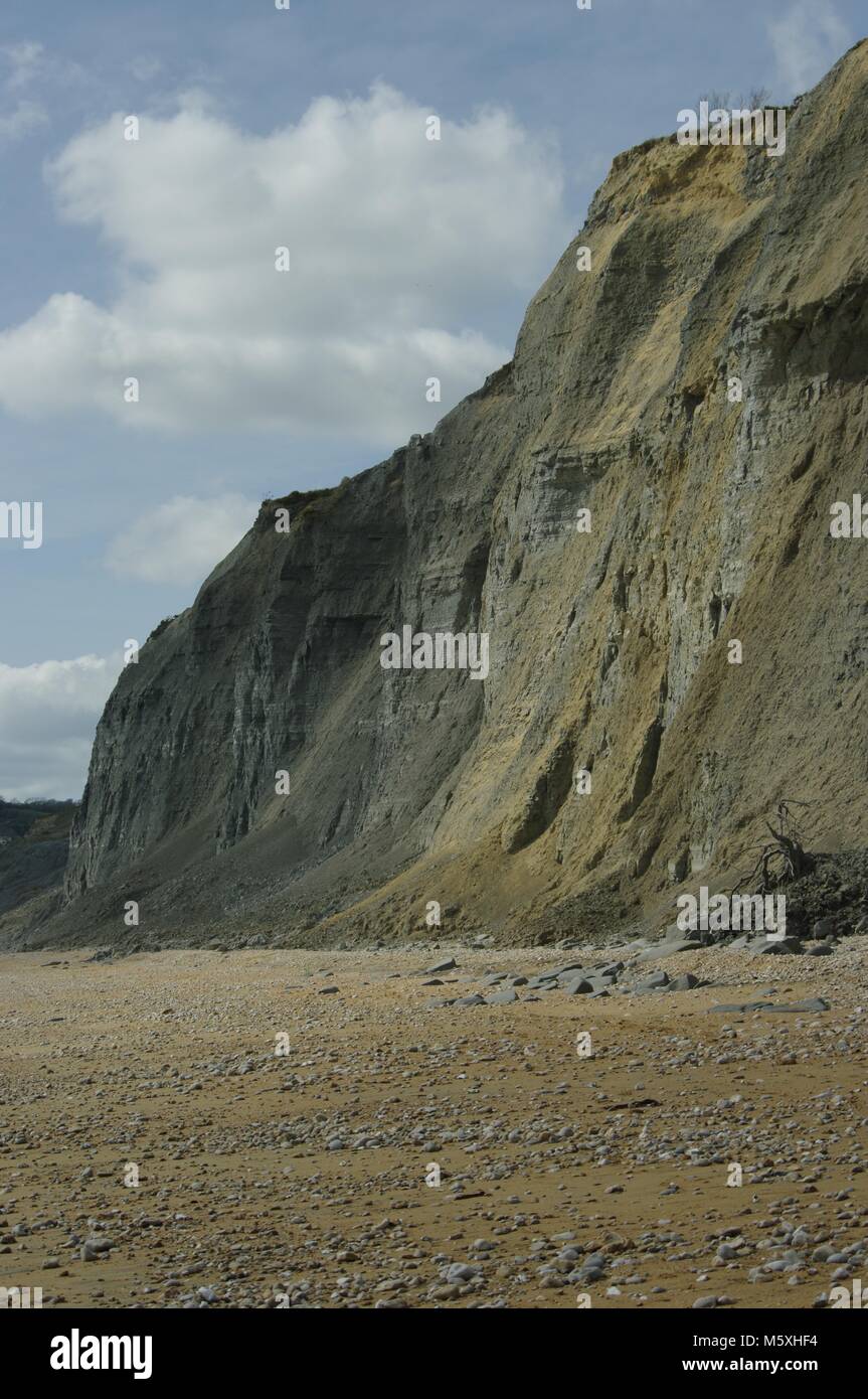 Soft Grey Fossil Rich Mudstone Cliffs Along Charmouth Beach, West ...