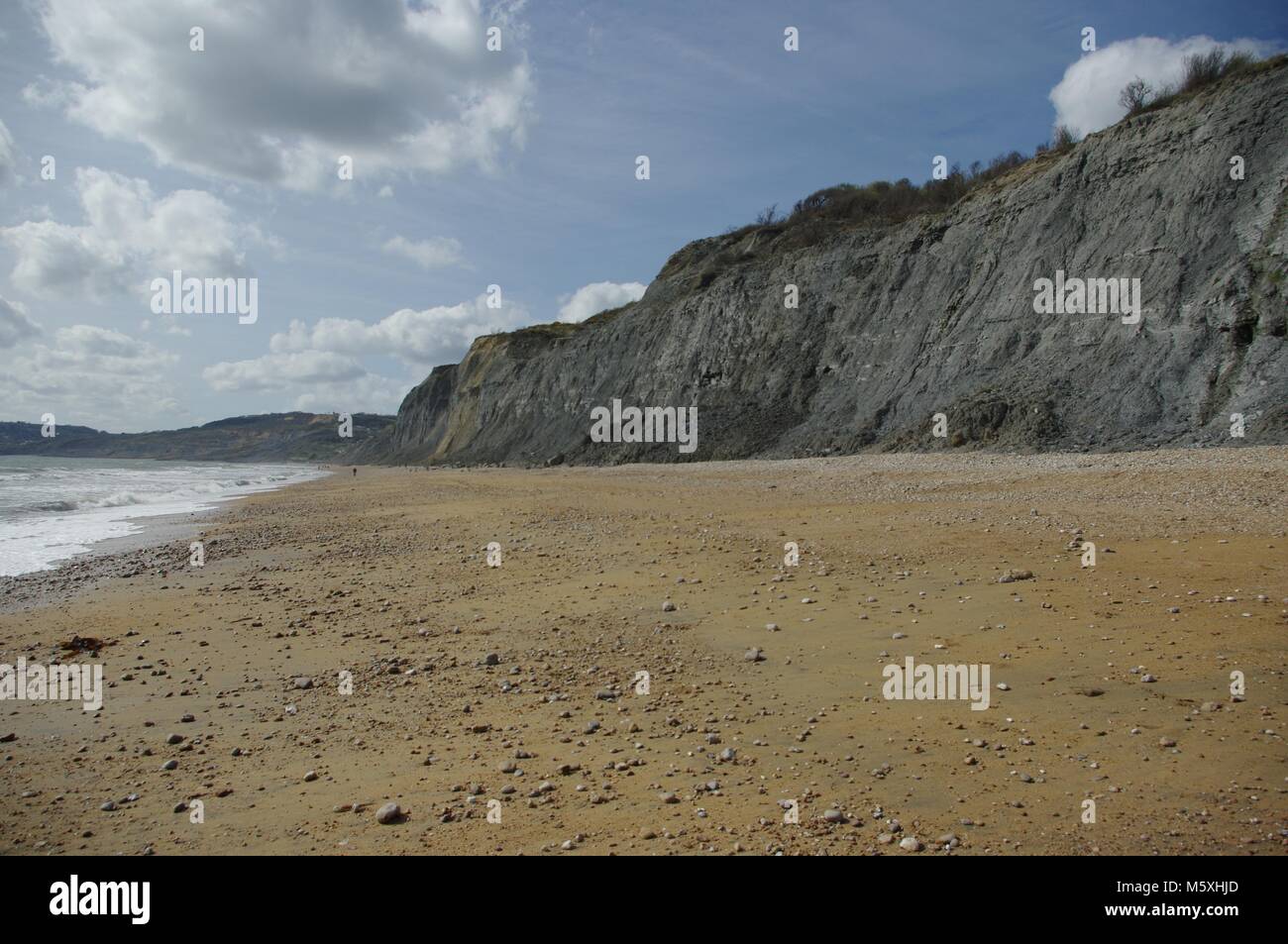 Soft Grey Fossil Rich Mudstone Cliffs Along Charmouth Beach, West ...