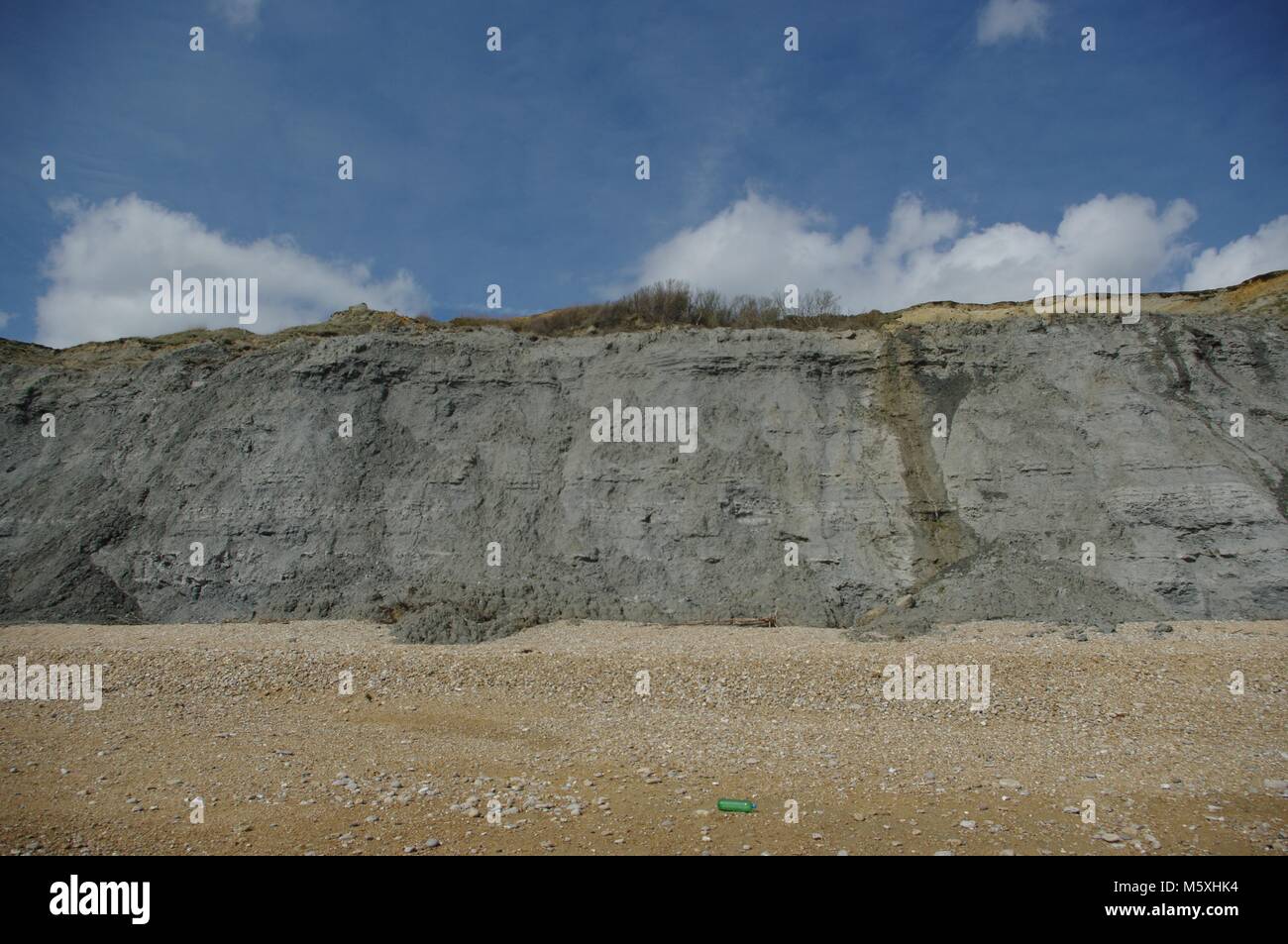 Soft Grey Fossil Rich Mudstone Cliffs Along Charmouth Beach, West ...