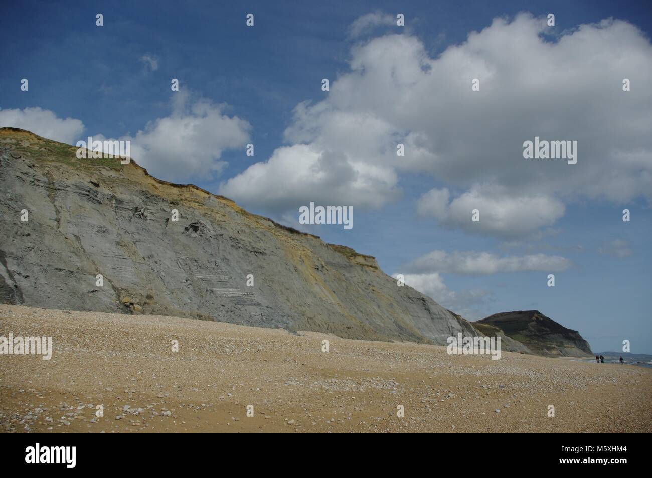 Soft Grey Fossil Rich Mudstone Cliffs Along Charmouth Beach, West ...