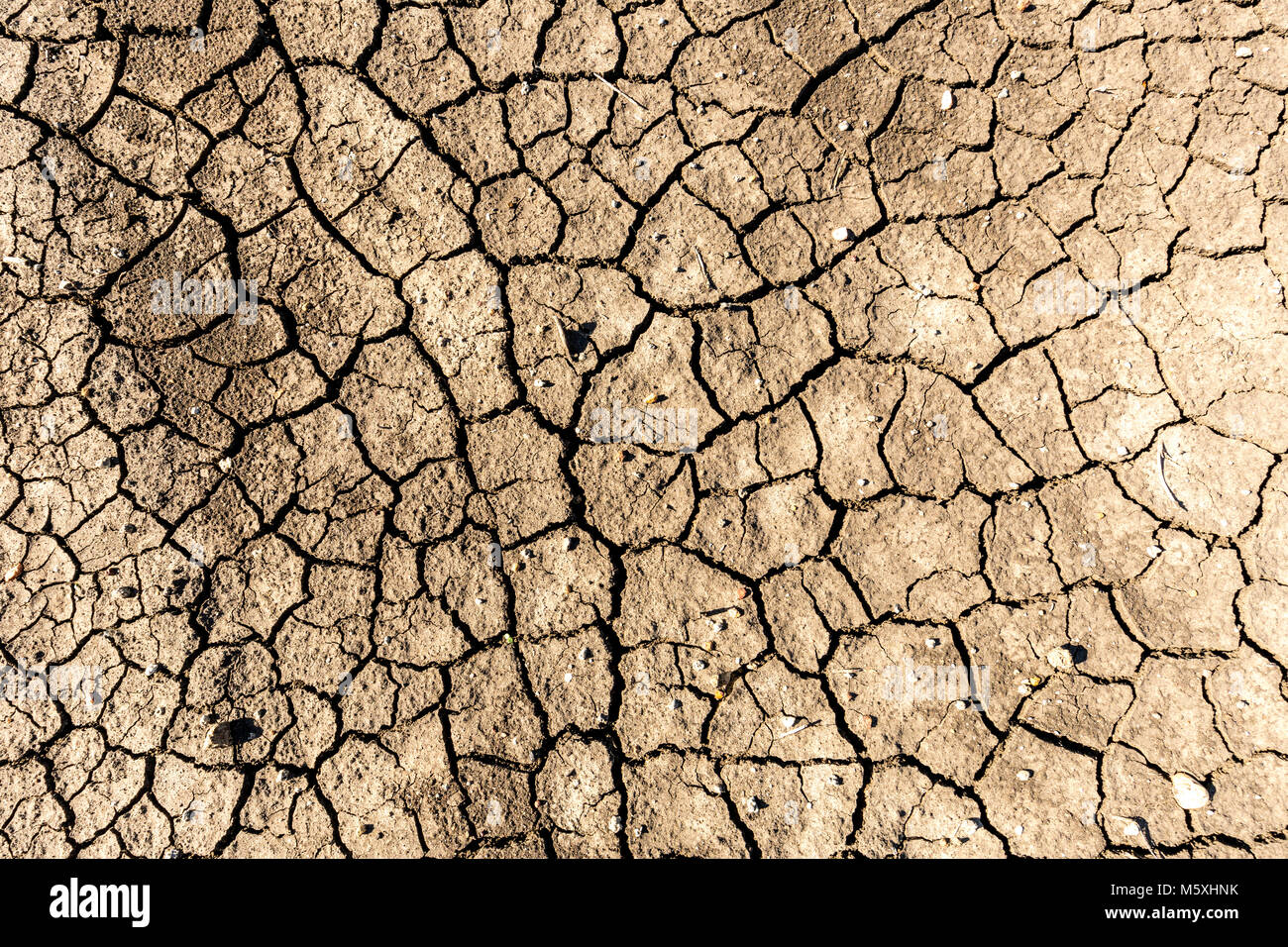The effect of a serious drought is shown in the cracked clay surface of ...