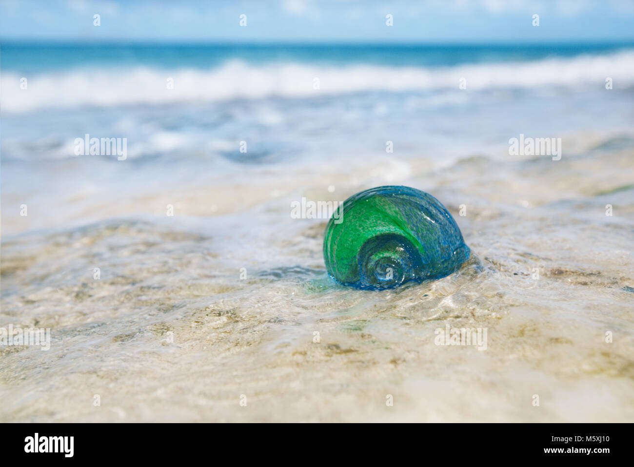 glass tropical sea shell with waves under sun light, live action Stock ...