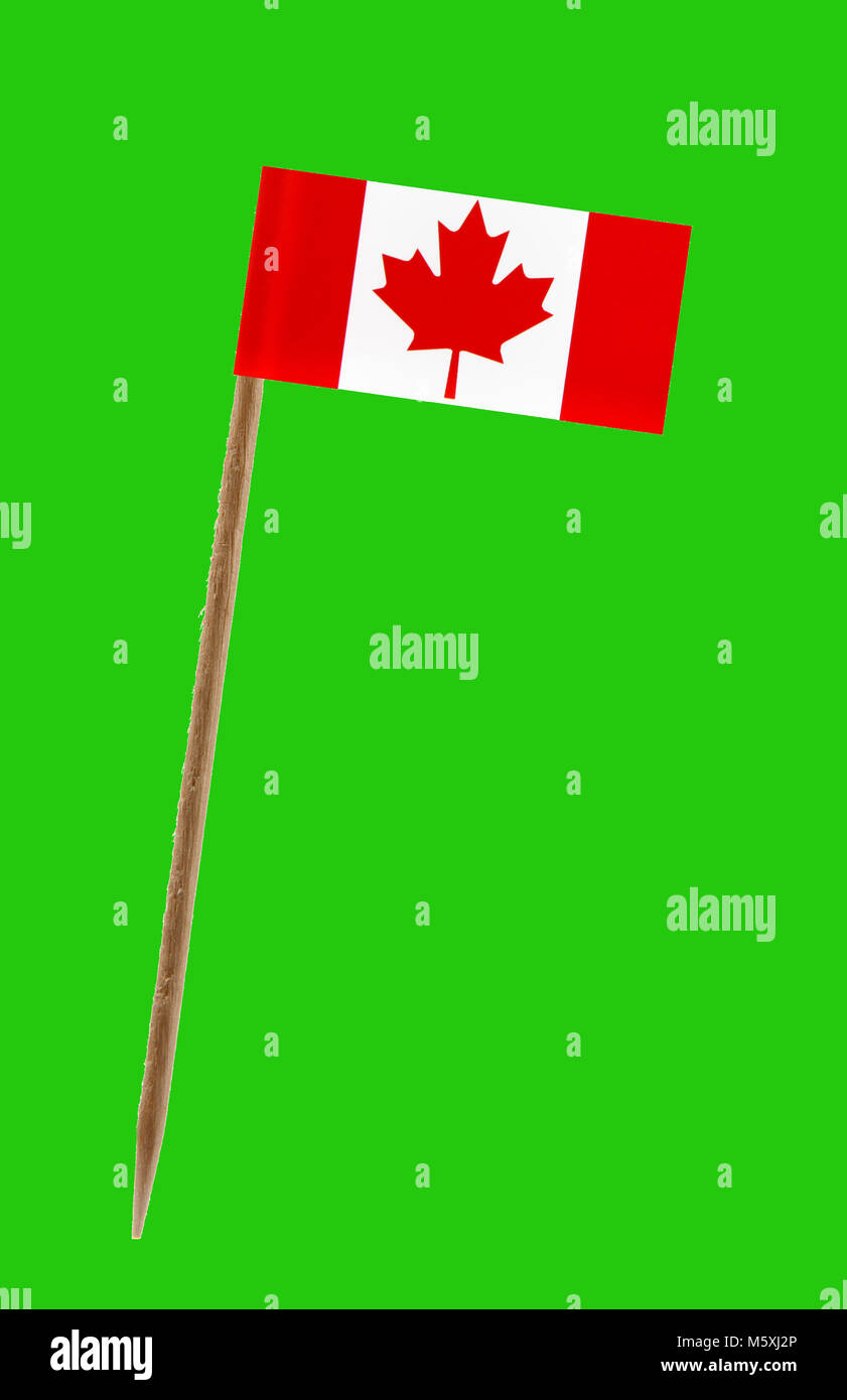 Tooth pick wit a small paper flag of Canada on a green screen for ...