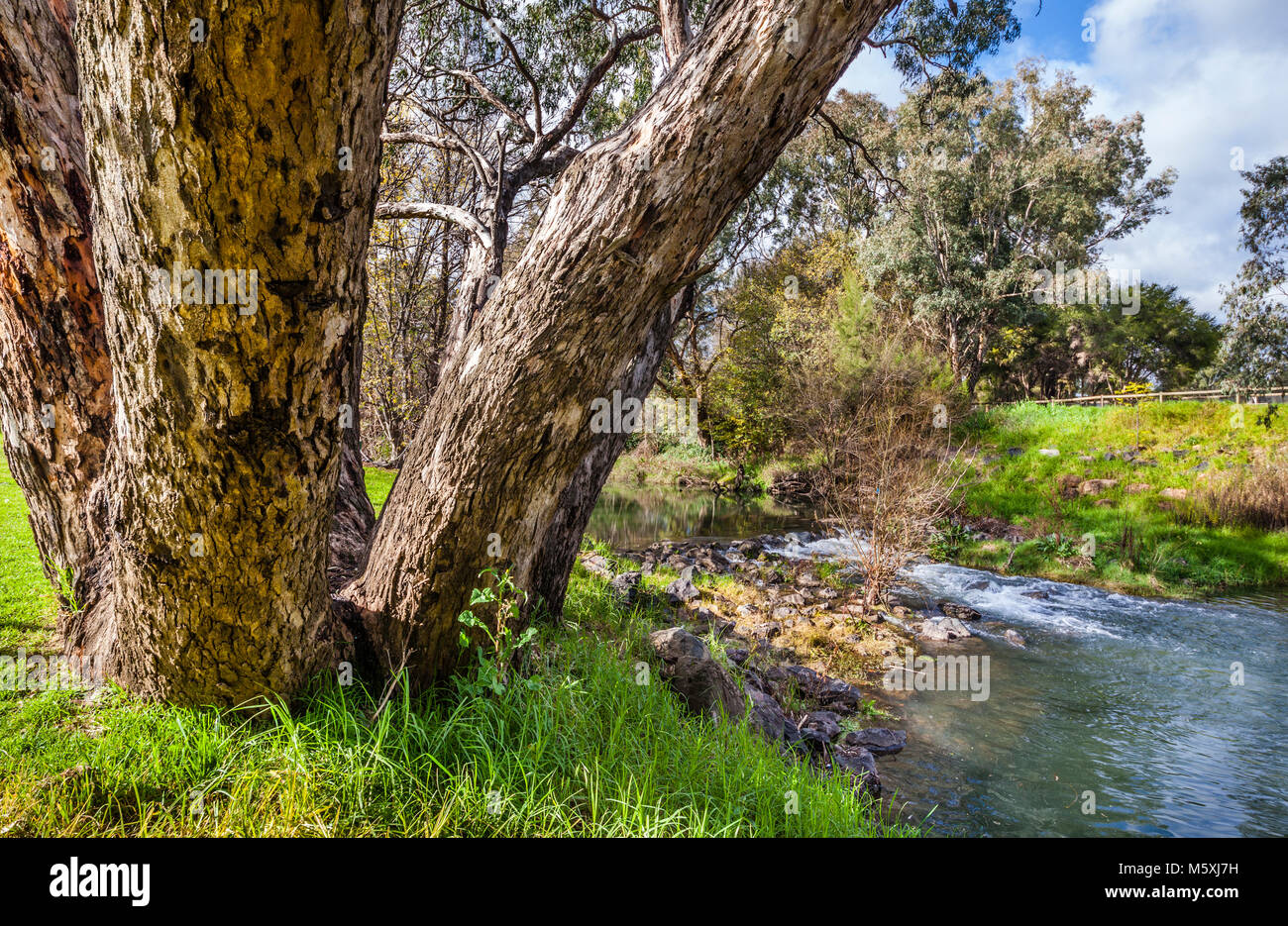 Australia, inland New South Wales, Wellington, Bell River flowing ...