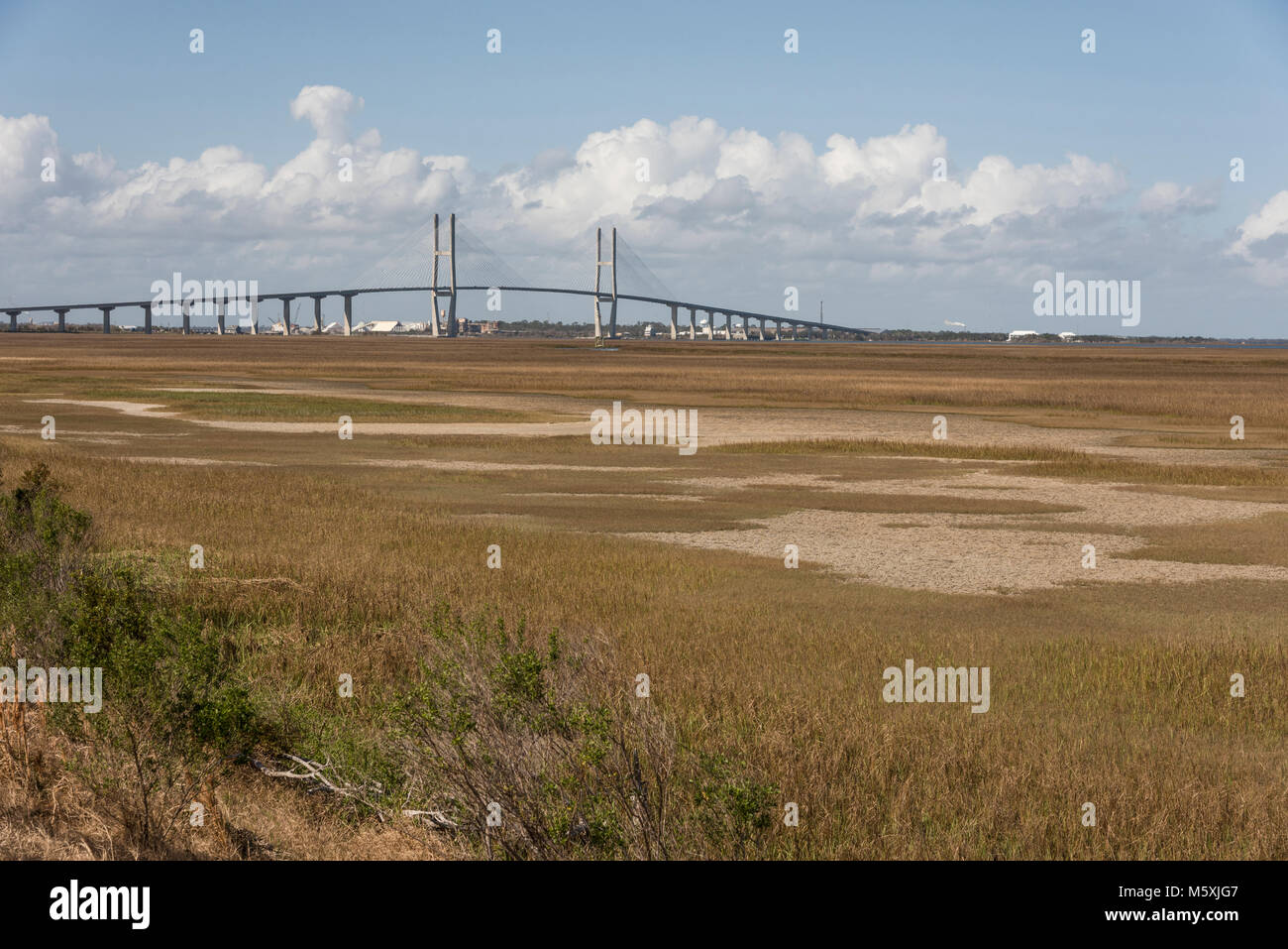 The Sidney Lanier Bridge in Georgia as seen leaving Jekyll State Park ...