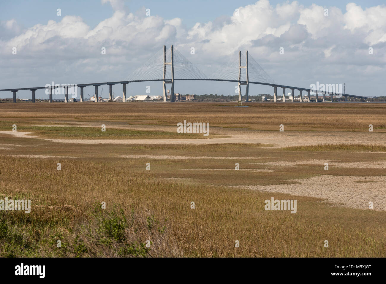 The Sidney Lanier Bridge in Georgia as seen leaving Jekyll State Park ...