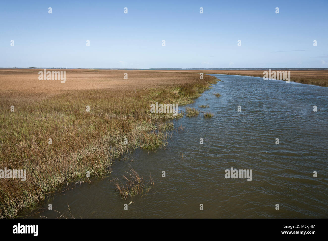 Marsh river hi-res stock photography and images - Alamy