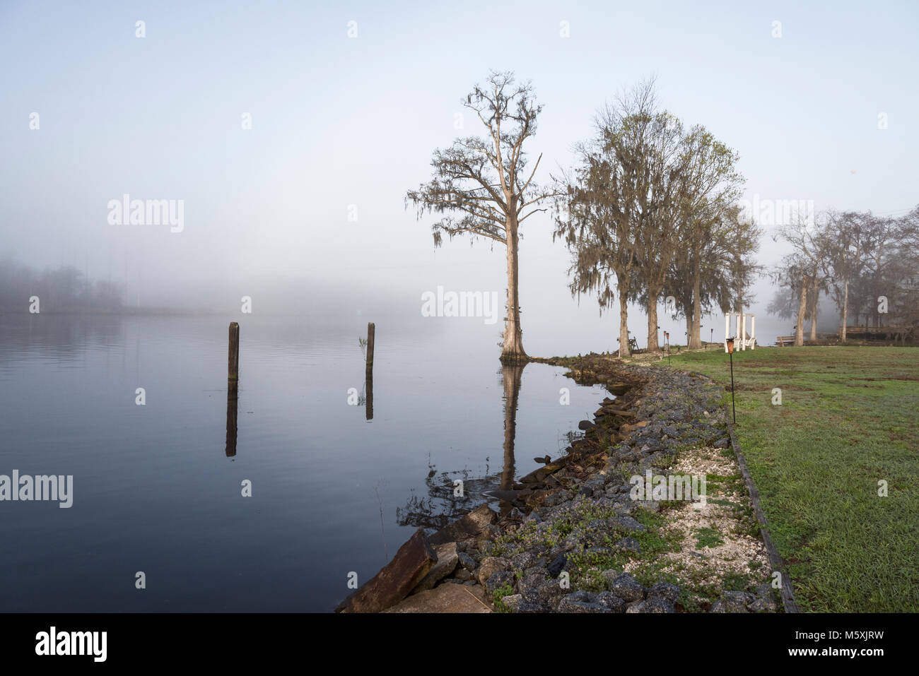 Ogeechee River Landscape Savannah, Georgia USA Stock Photo - Alamy